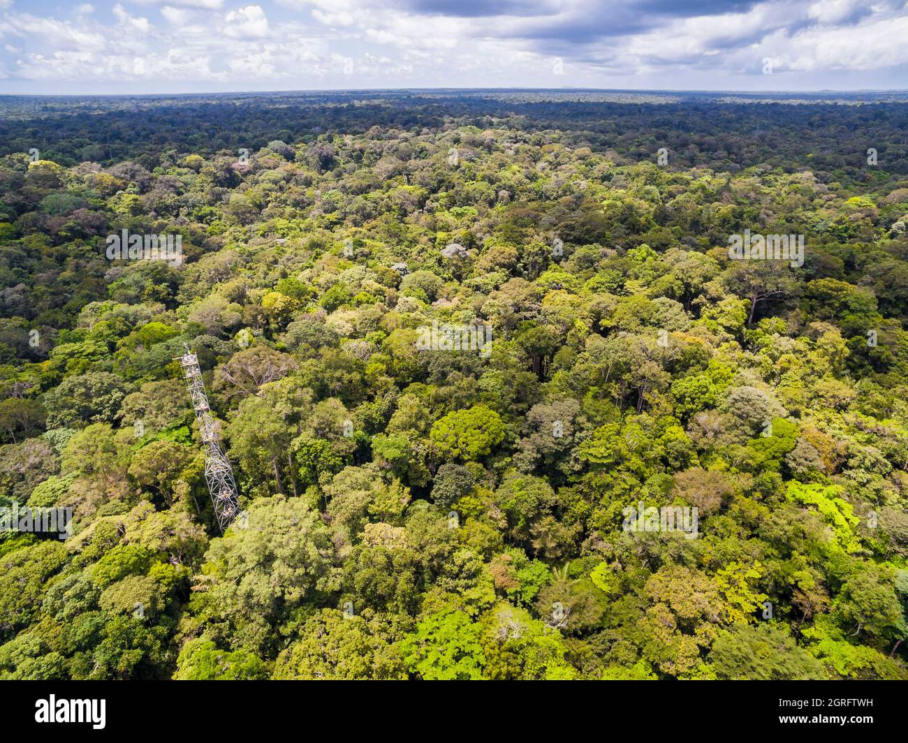 French Guiana Environment