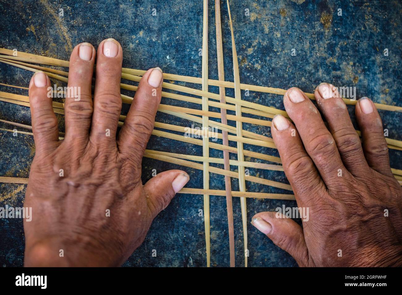 France, French Guiana, Amazonian Park of Guyana, heart zone, Camopi ...