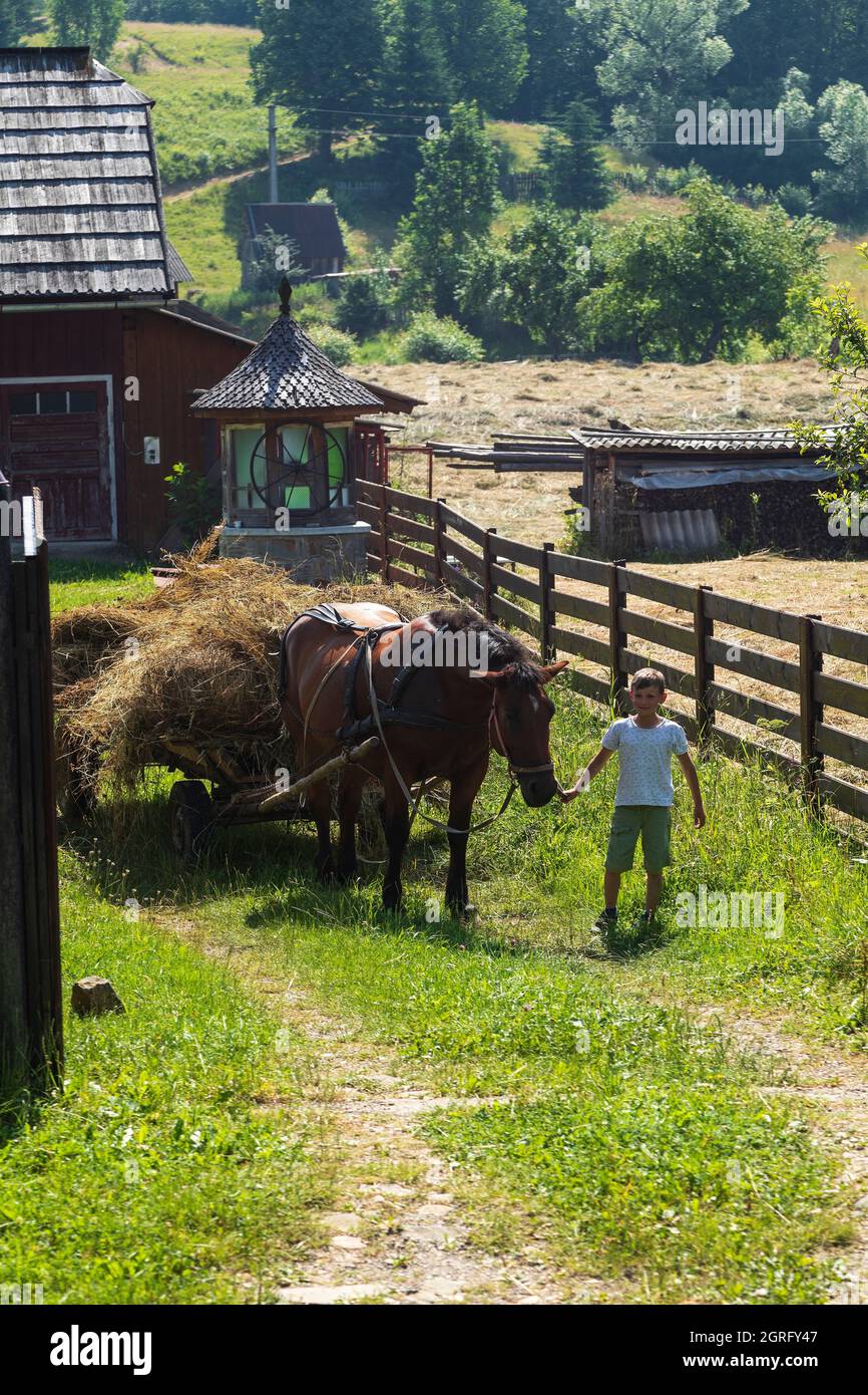 Romanian farm hi-res stock photography and images - Alamy