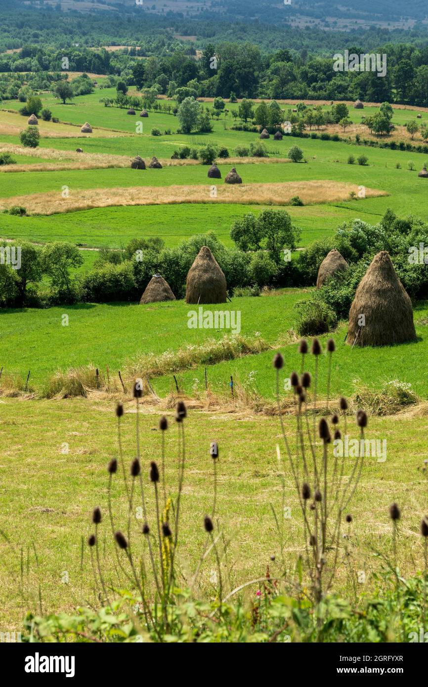 Calinesti hi-res stock photography and images - Alamy