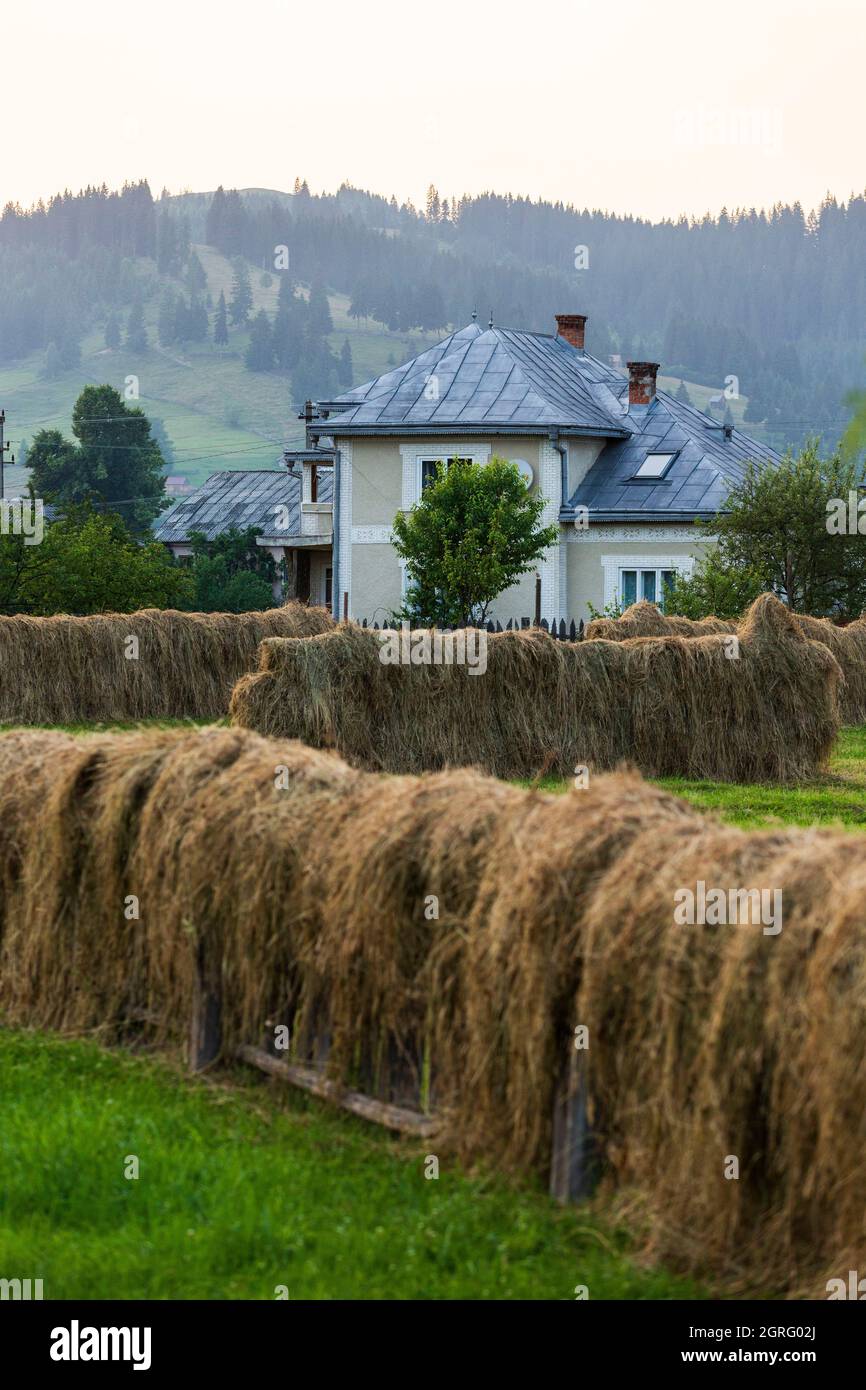 Hay house romania hi-res stock photography and images - Alamy