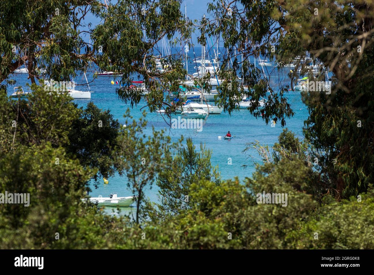 France, Var, Iles d'Hyeres, Port Cros national park, Porquerolles ...