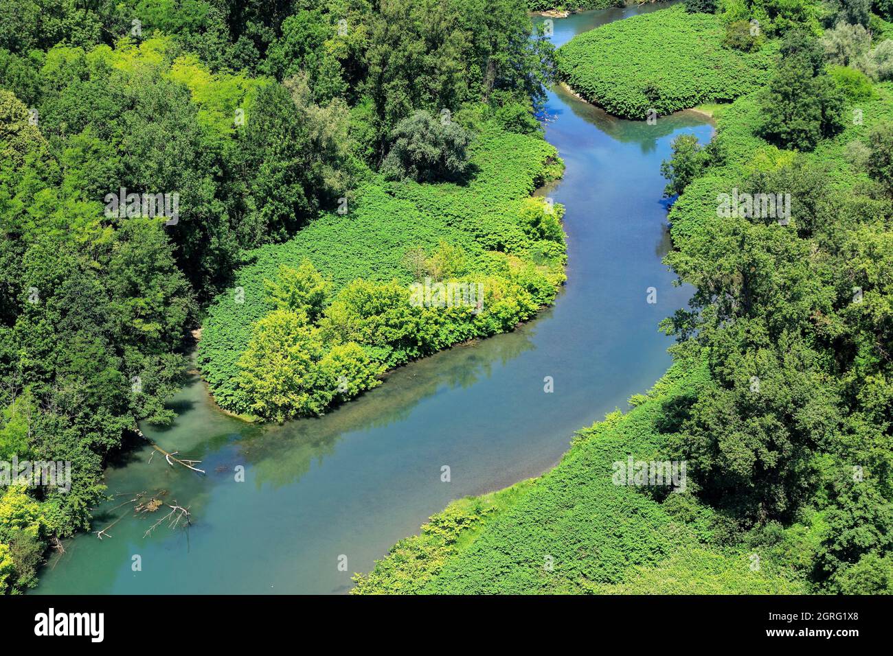 France, Ain, Massignieu de Rives, ile Piolet, lone de la Vieille ile ...