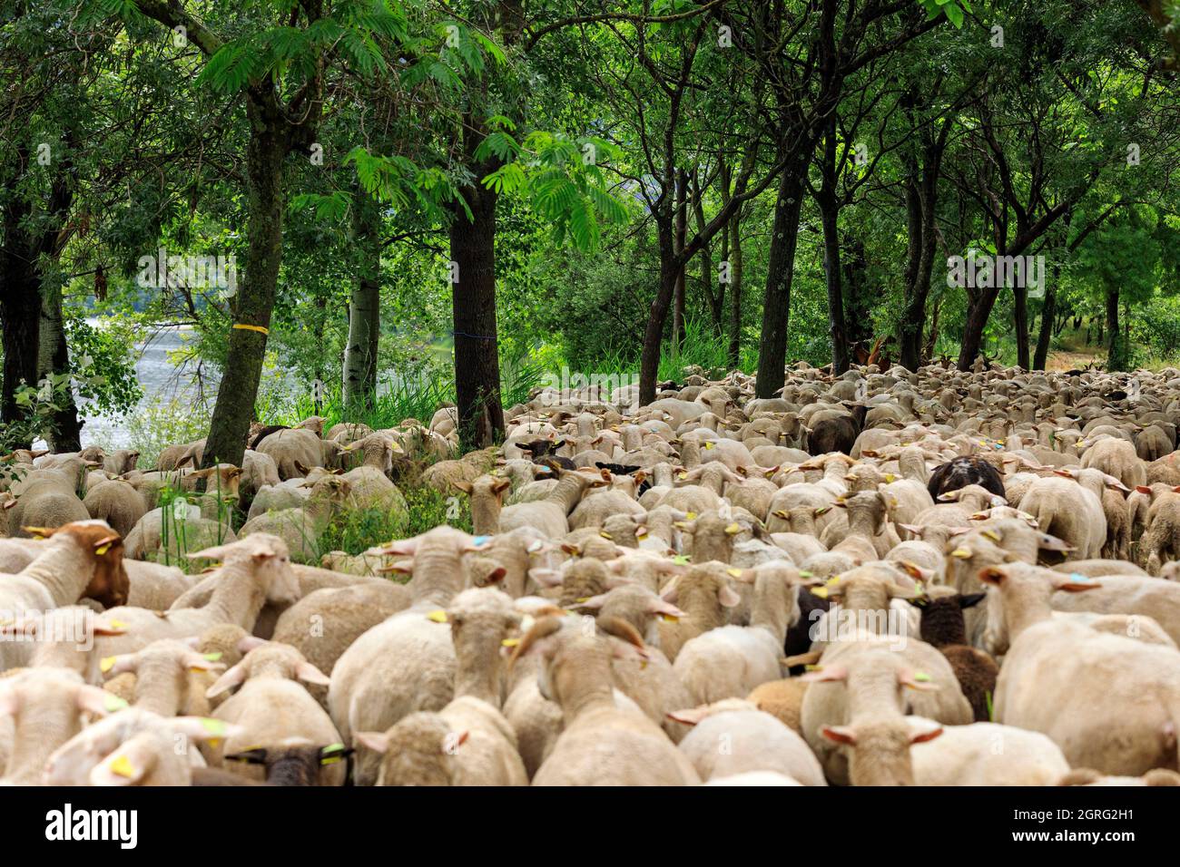 River argens hi-res stock photography and images - Alamy