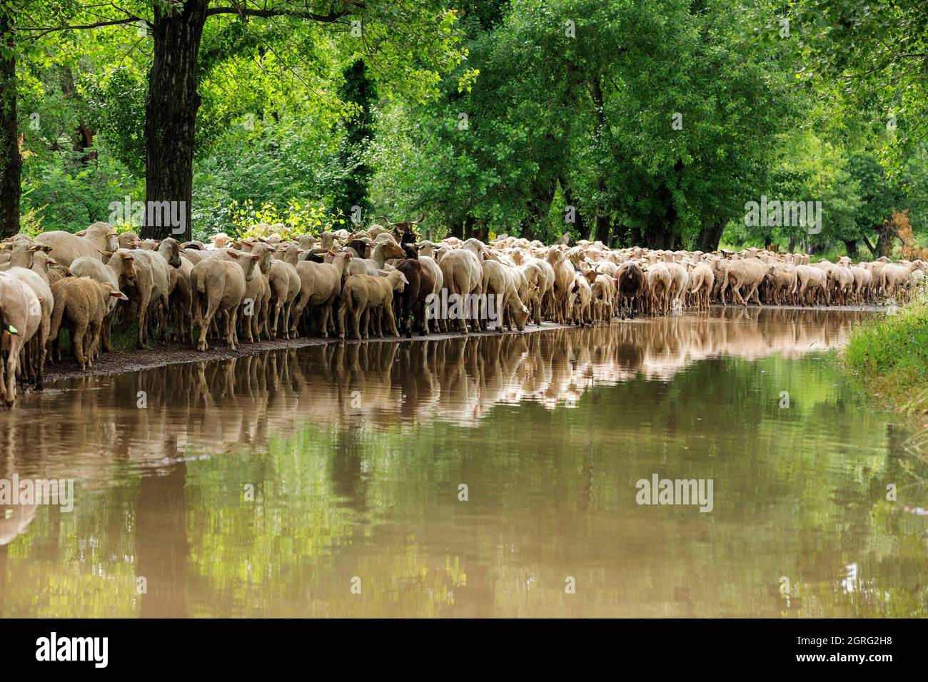 River argens hi-res stock photography and images - Alamy