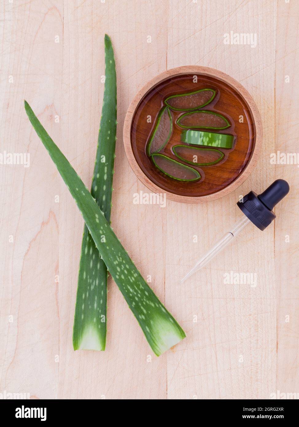 Ale vera plant hi-res stock photography and images - Alamy