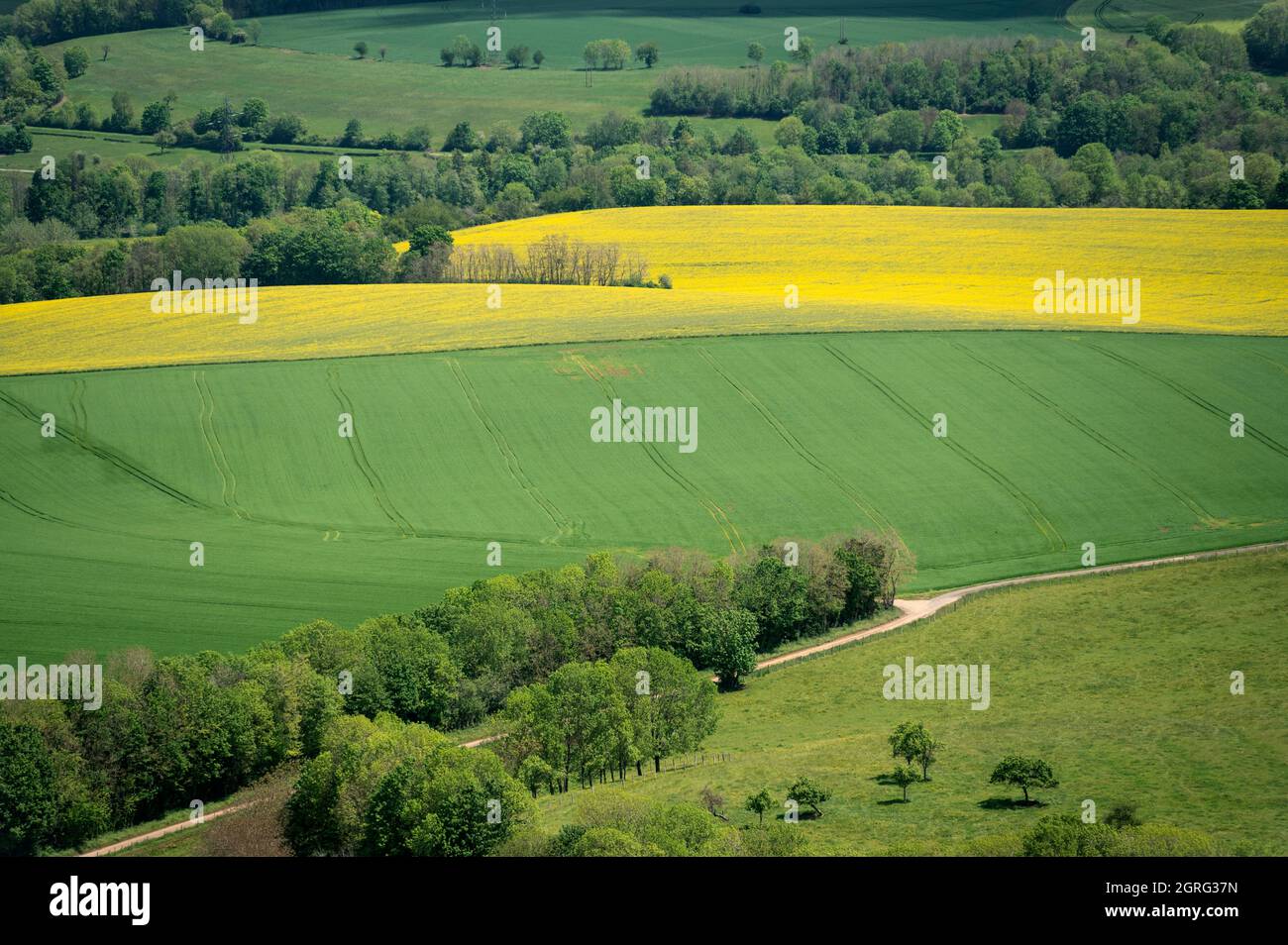 France, Haute Marne, city of Langres, view from tower of Saint-Mammes ...