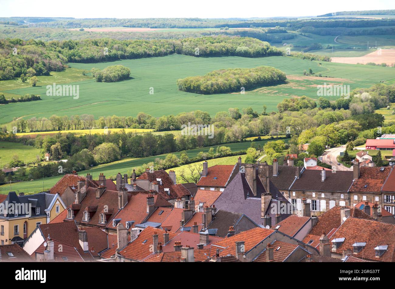 France, Haute Marne, city of Langres, view from tower of Saint-Mammes ...