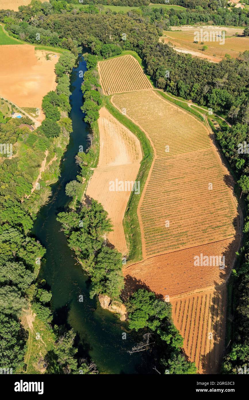 France, Var, Carces and Le Thoronet, vineyards along the L'Argens river ...