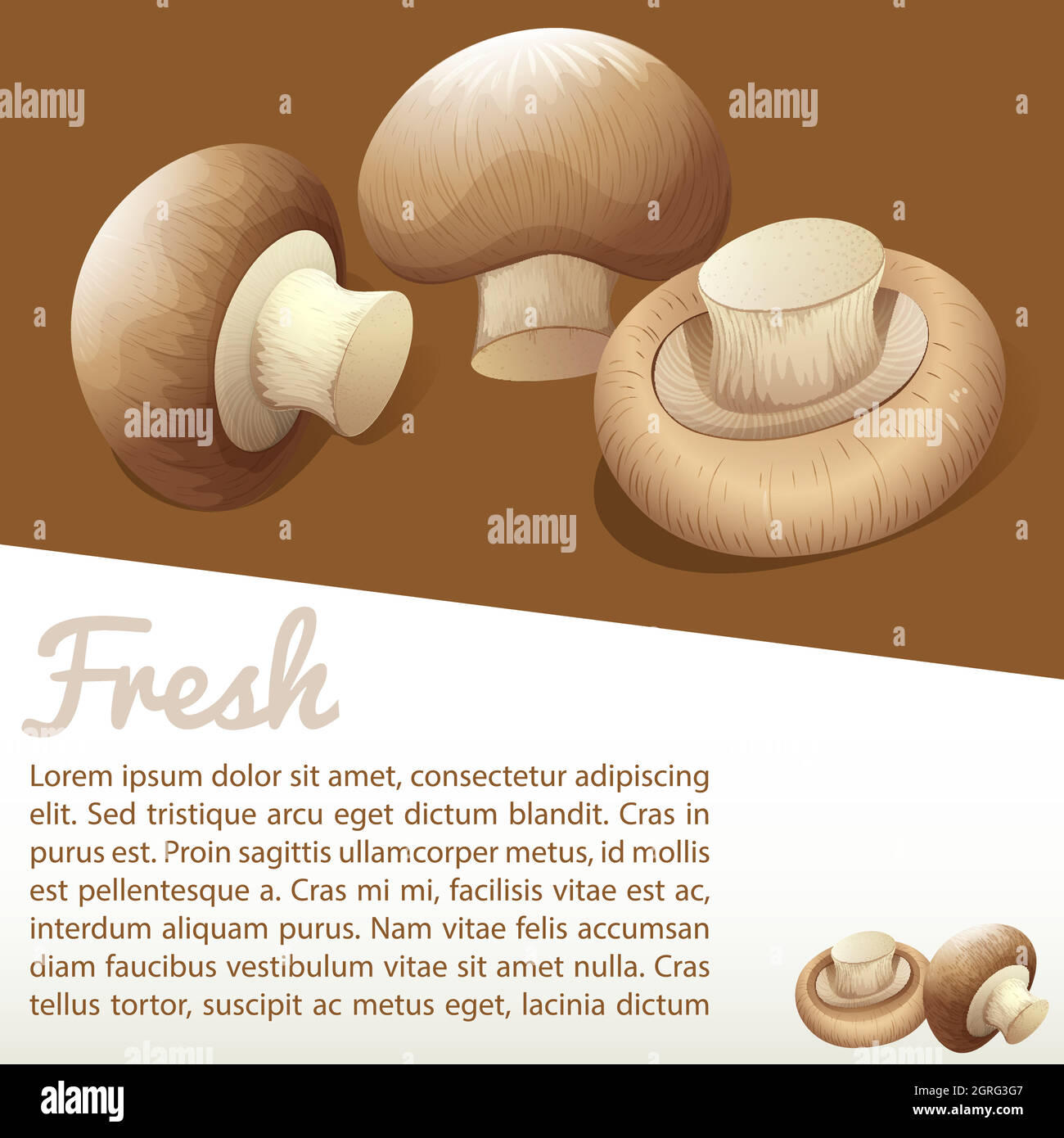 Infographic with fresh mushroom Stock Vector Image & Art - Alamy