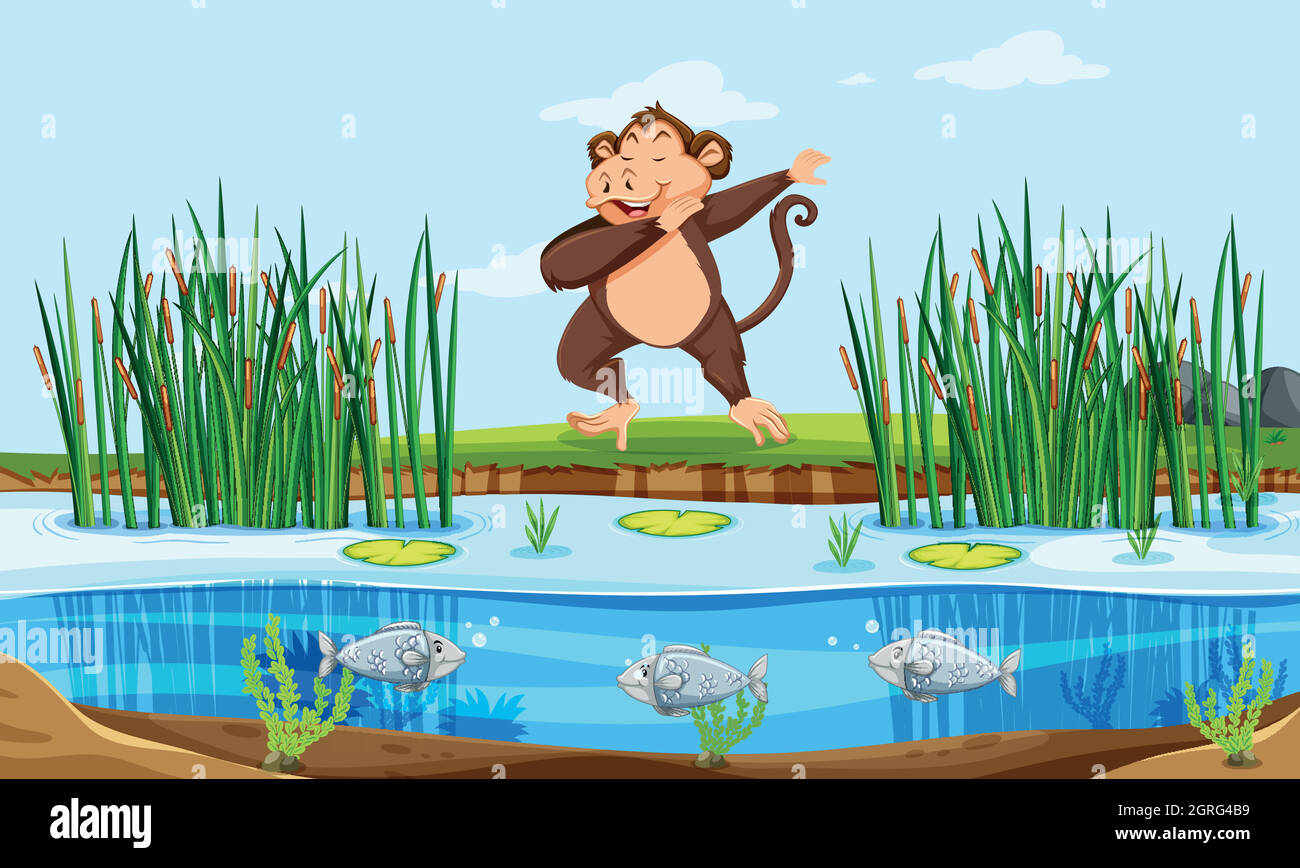 Monkey and water Stock Vector Images - Alamy
