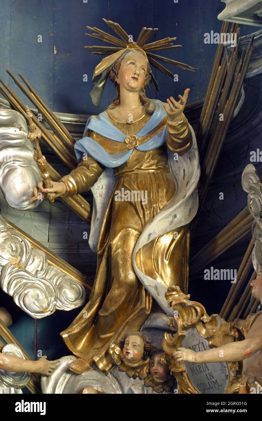 Our Lady Of The Assumption Statue