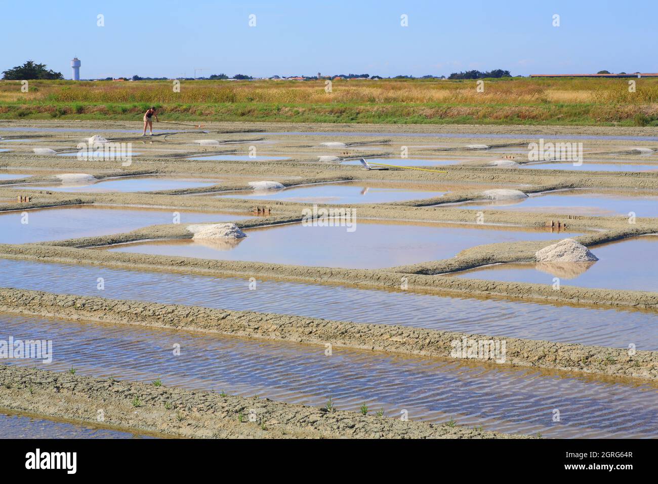 Salt Harvesting In France