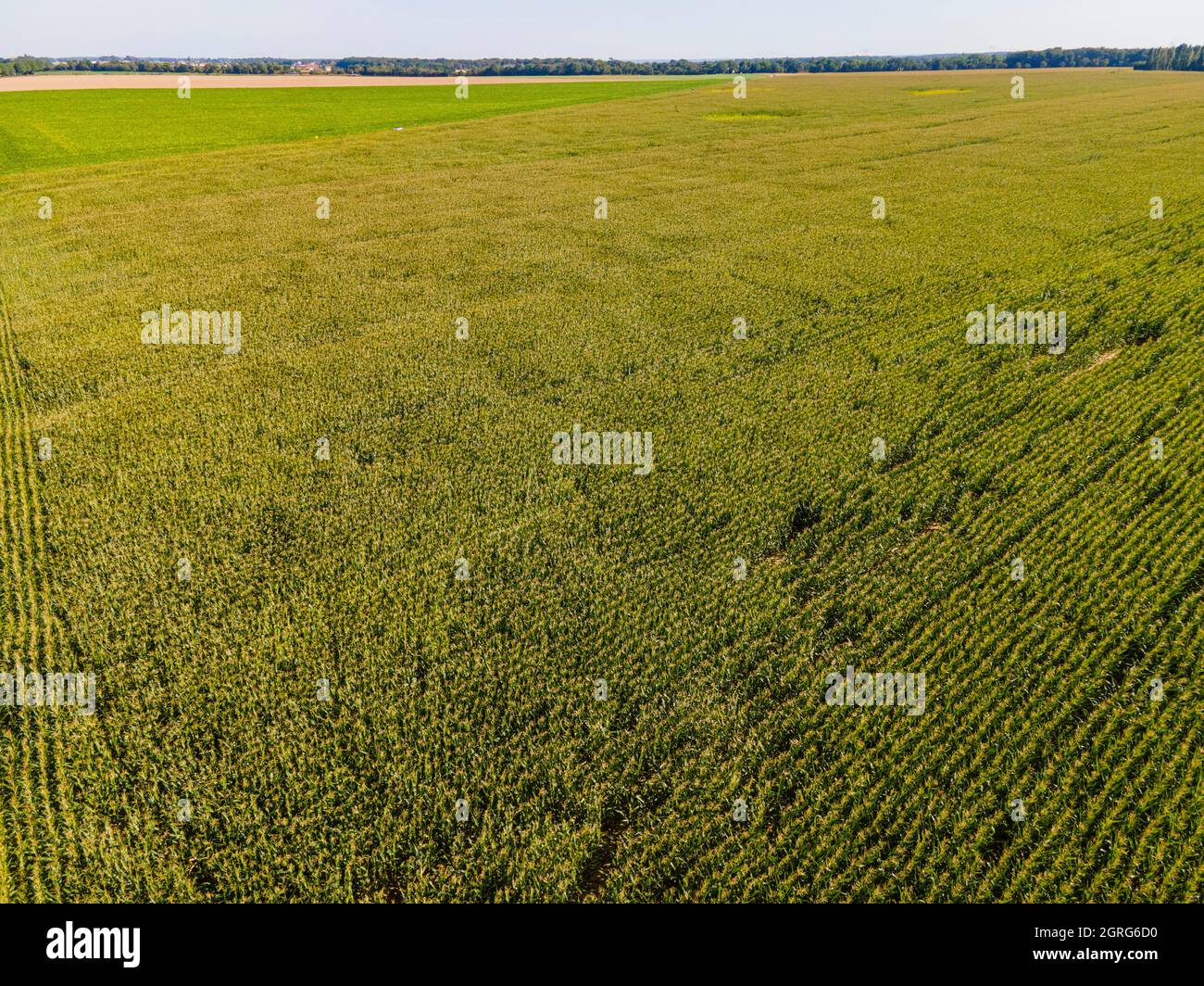 Aerial view countryside corn field hi-res stock photography and images ...
