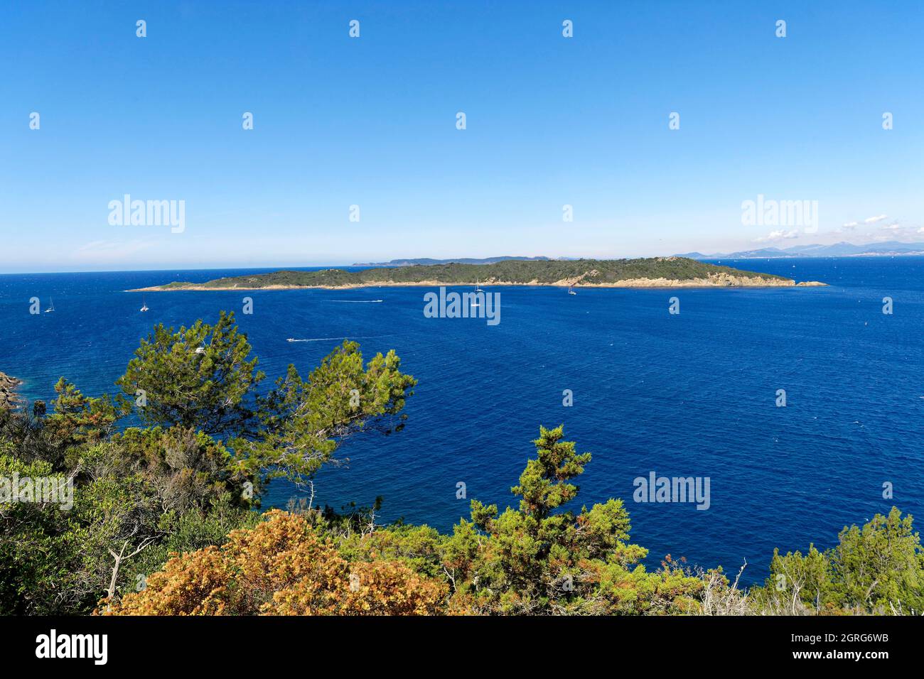 France, Var, Hyeres Islands, National Park of Port Cros island of Port ...