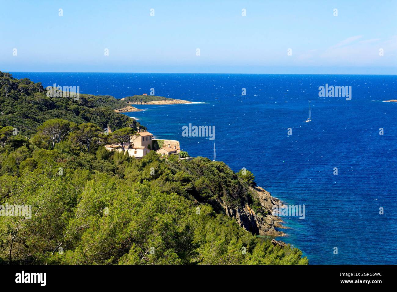 France, Var, Hyeres Islands, National Park of Port Cros island of Port ...