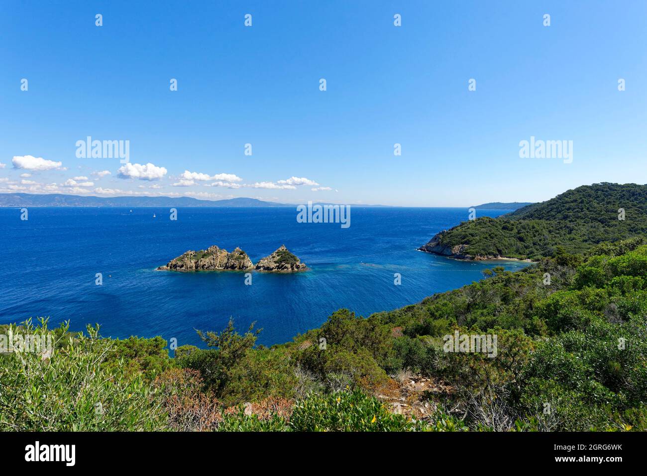 France, Var, Hyeres Islands, National Park of Port Cros island of Port ...
