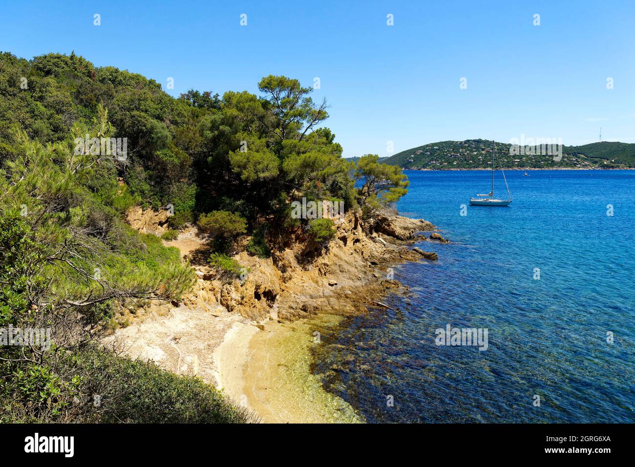 France, Var, Hyeres Islands, National Park of Port Cros island of Port ...