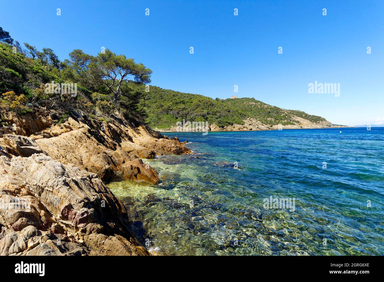 France, Var, Hyeres Islands, National Park of Port Cros island of Port ...