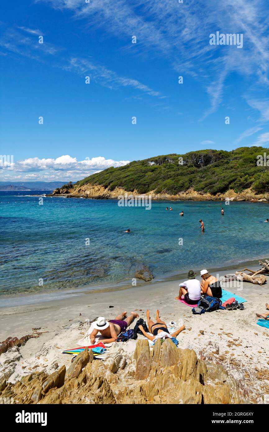 France, Var, Hyeres Islands, National Park of Port Cros island of Port ...