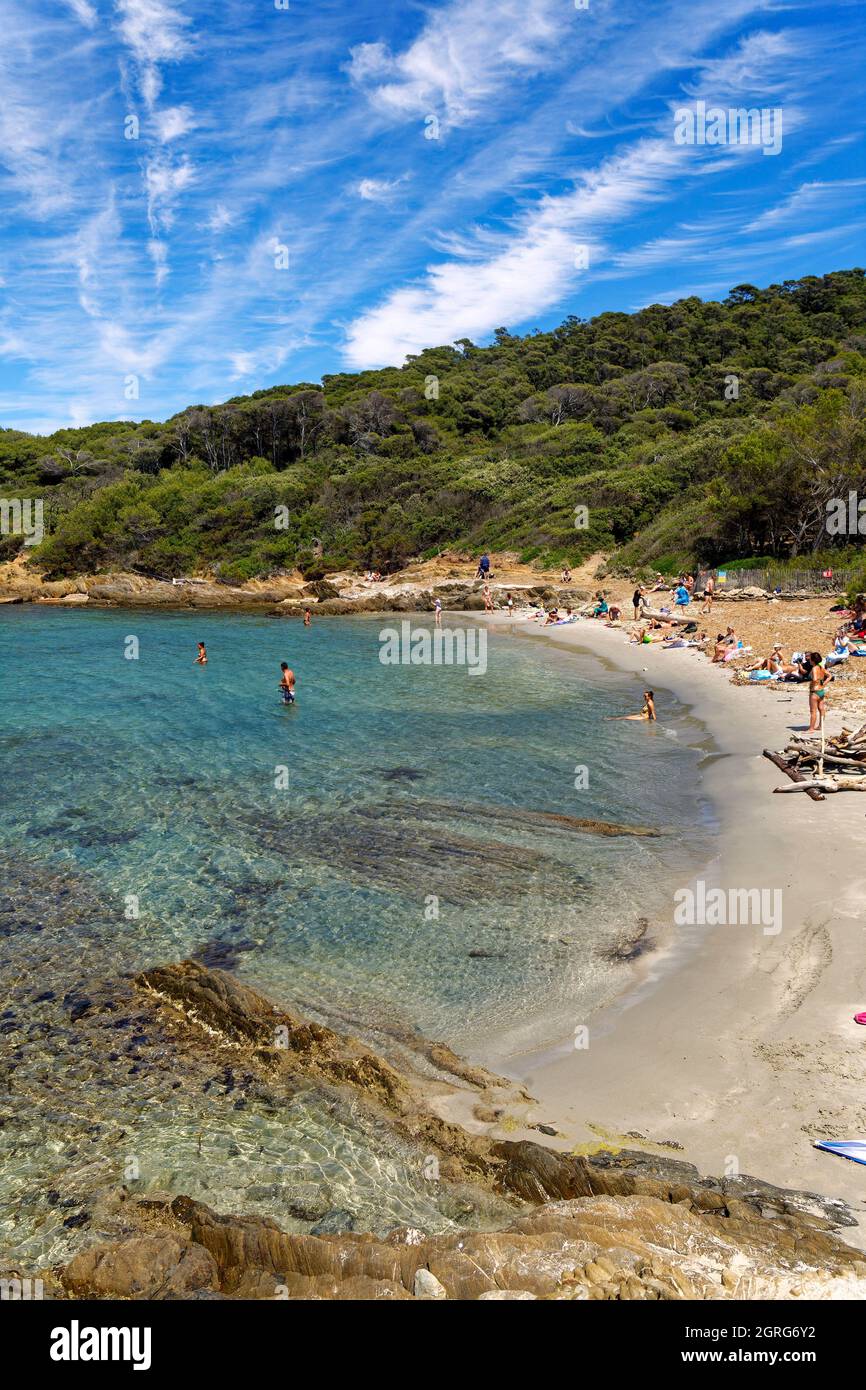 France, Var, Hyeres Islands, National Park of Port Cros island of Port ...