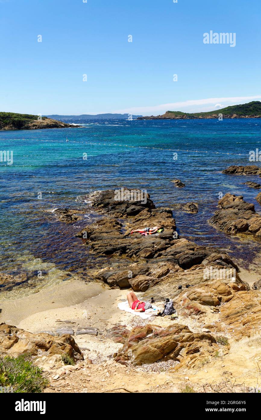 France, Var, Hyeres Islands, National Park of Port Cros island of Port ...