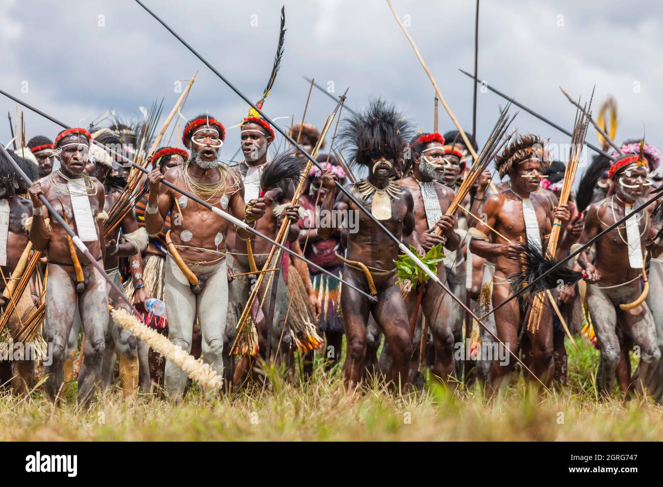 Animal fight not two hi-res stock photography and images - Alamy