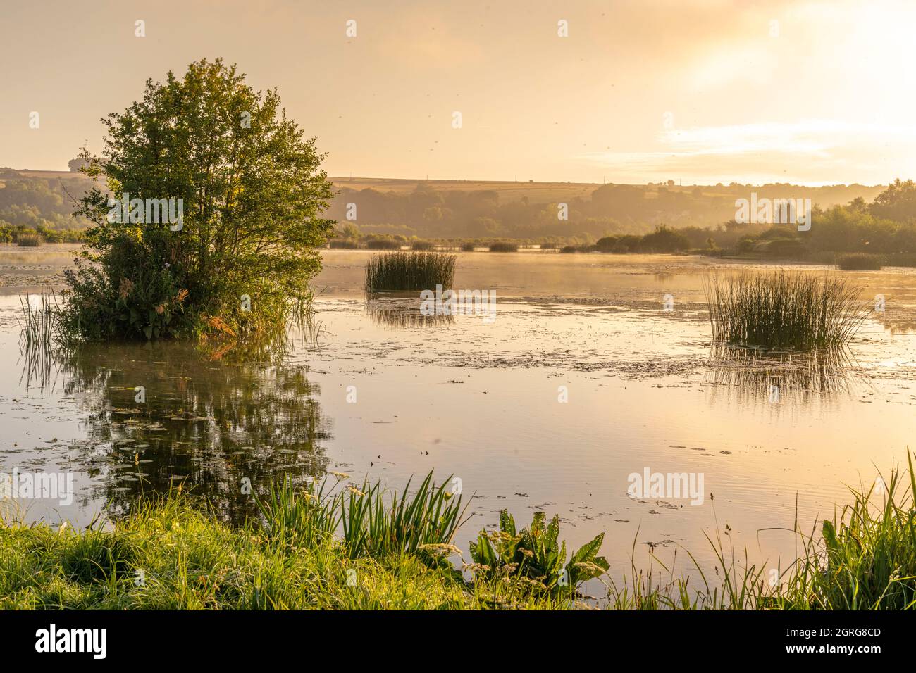 France, Somme (80), Somme Valley, Longpré-les-Corps-Saints, the marsh ...