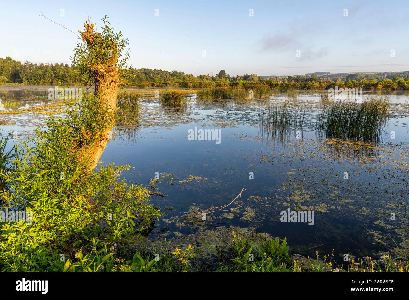 France, Somme (80), Somme Valley, Longpré-les-Corps-Saints, the marsh ...