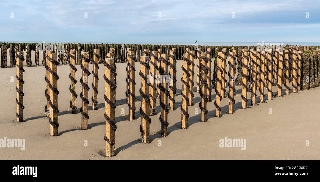 Agriculture de plage hi-res stock photography and images - Alamy