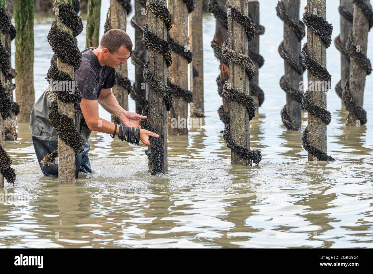 Farmers pole hi-res stock photography and images - Alamy