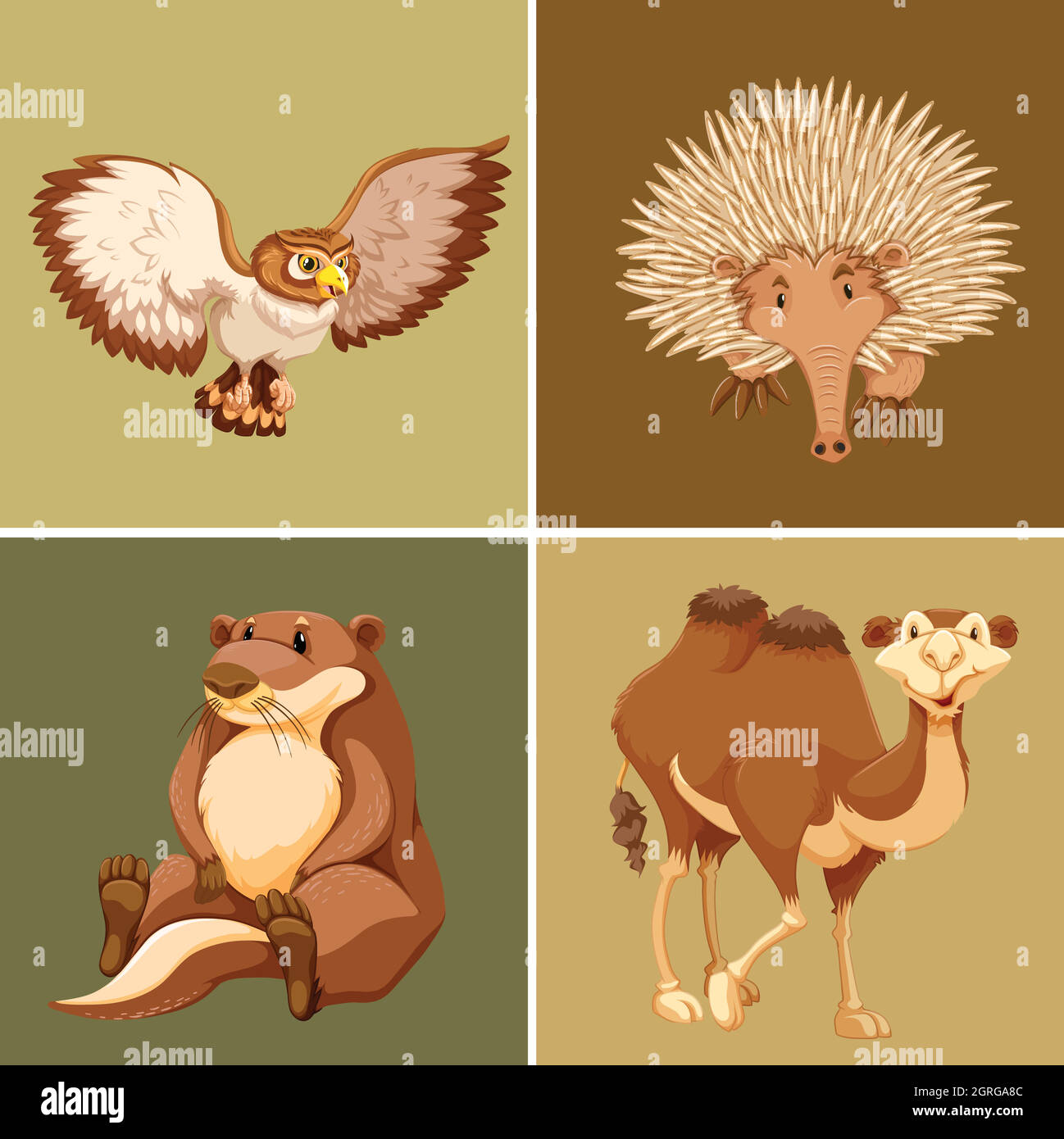 Different types of wild animal on brown background Stock Vector Image ...