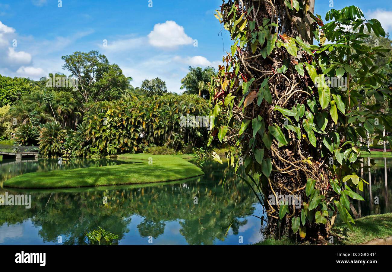 Inhotim museum hi-res stock photography and images - Alamy