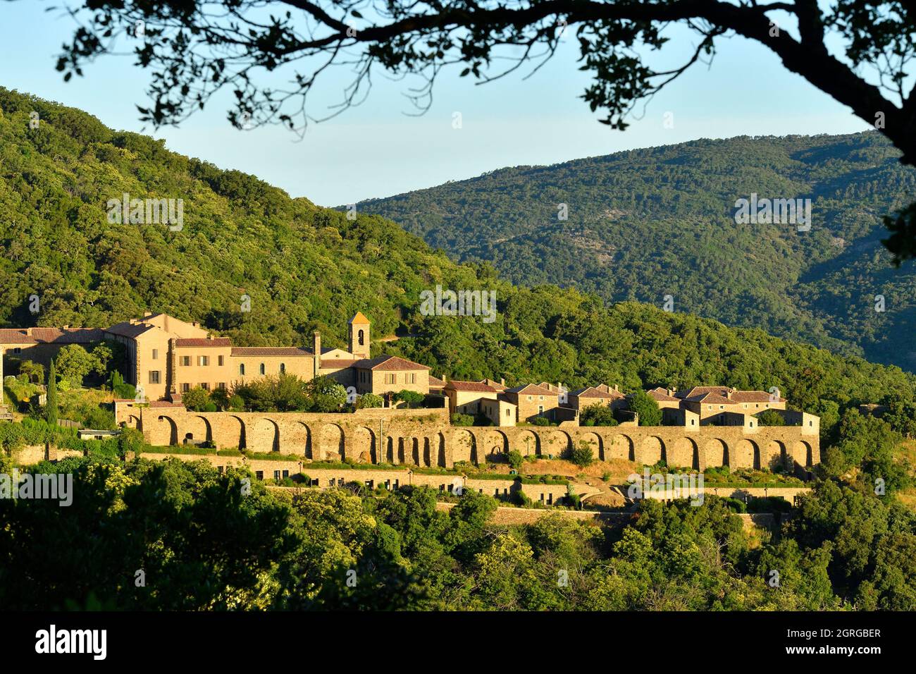 France, Var, Massif des Maures, Collobrieres, Chartreuse of the Verne ...