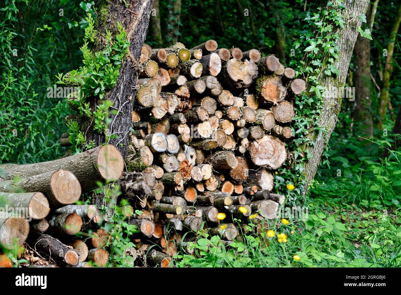 Storage device hi-res stock photography and images - Alamy