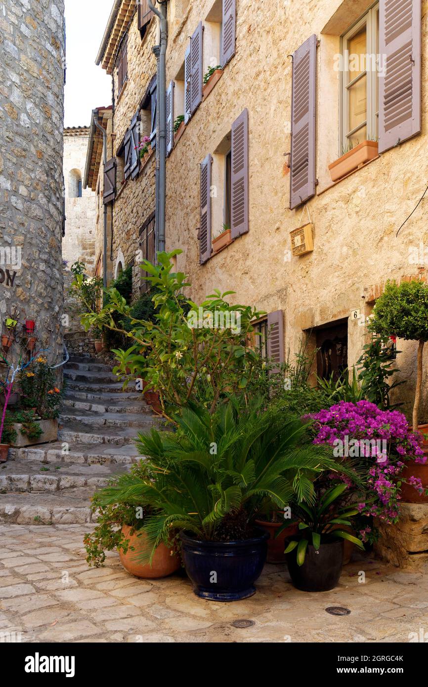 France, Var, Pays de Fayence, Callian village, narrow alley of the old ...