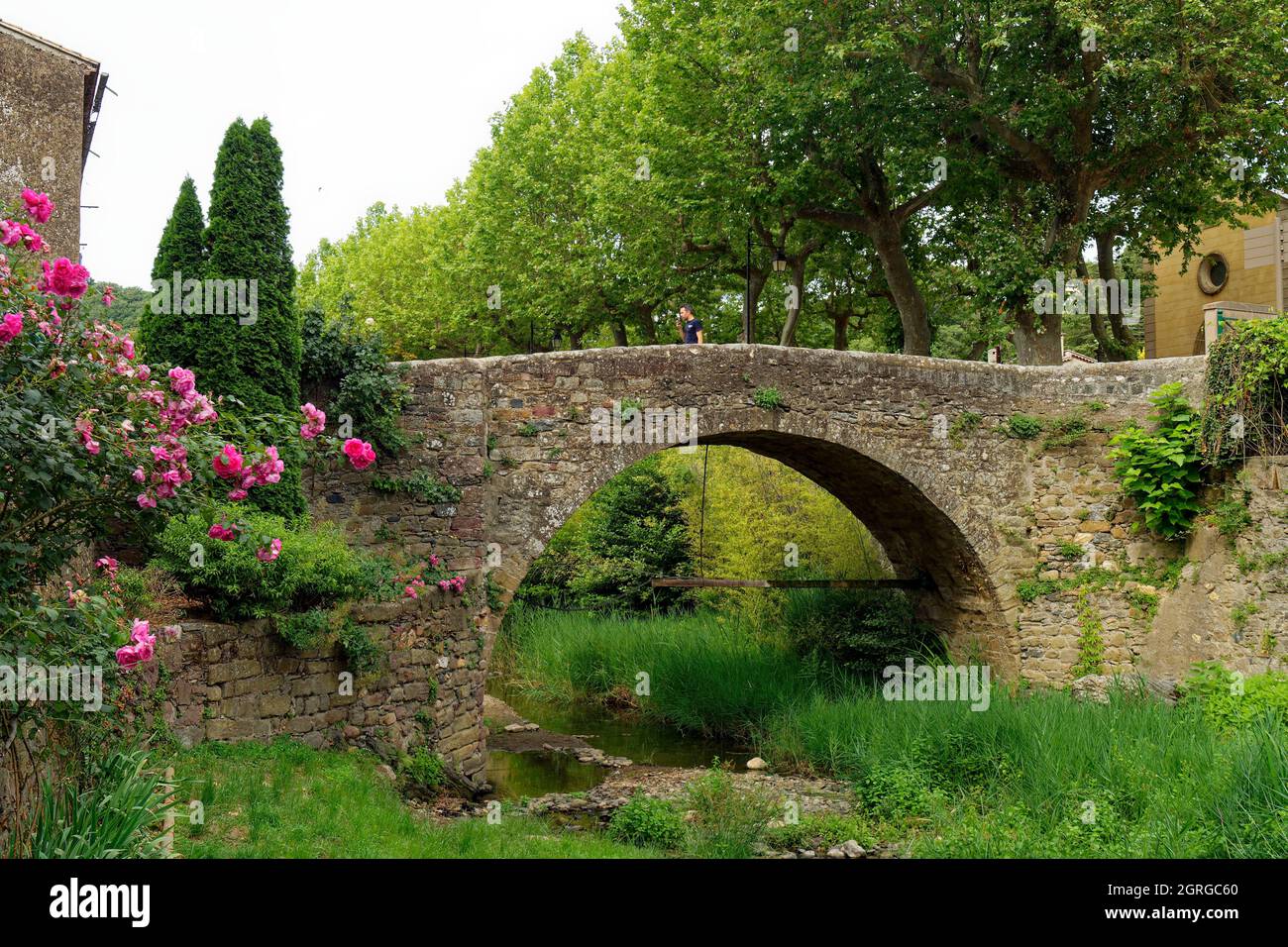 France, Var, Massif des Maures, Collobrieres, river Real Collobrier ...