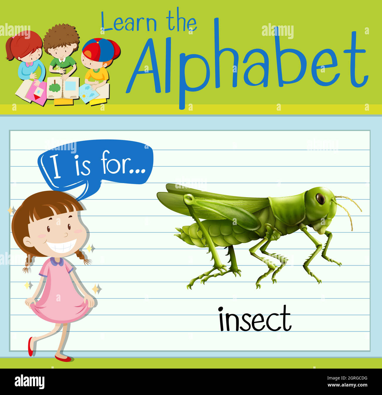 Flashcard letter I is for insect Stock Vector Image & Art - Alamy