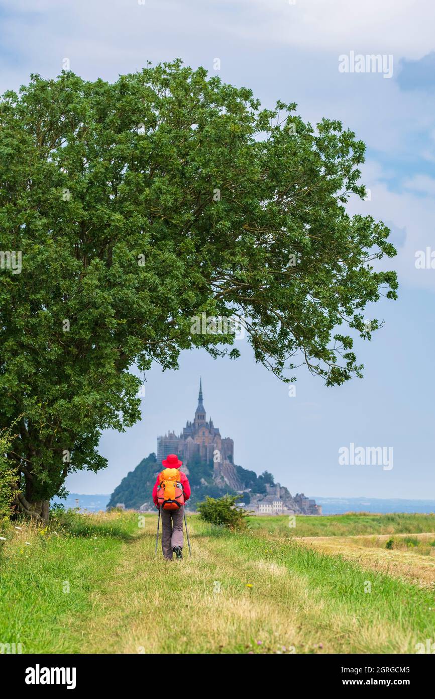 France, Manche, Le Mont Saint-Michel, hike along the GR 34 hiking trail ...