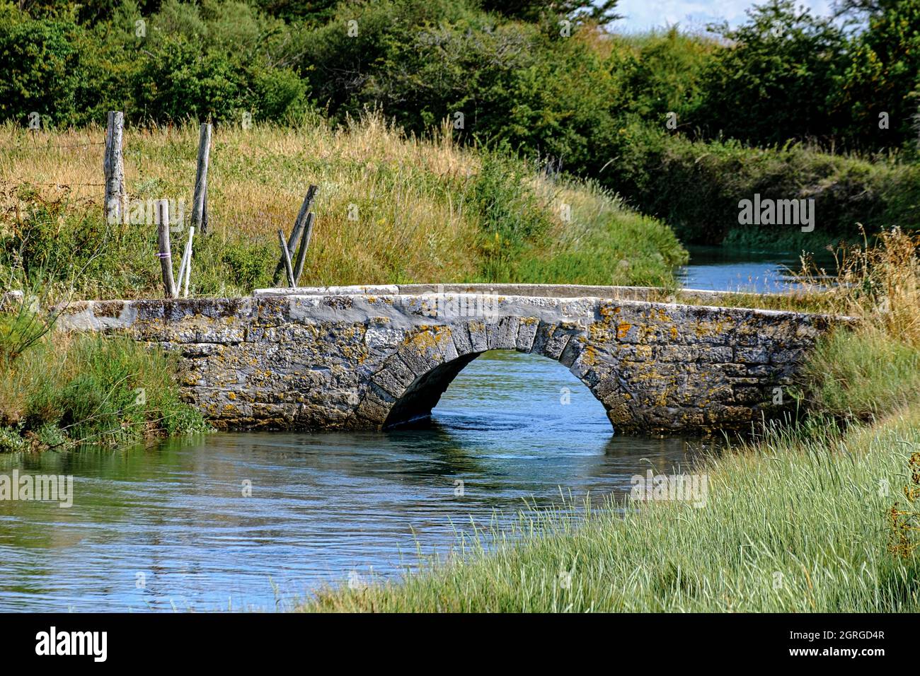 France, Charente-Maritime, island of Oleron, marsh Stock Photo - Alamy