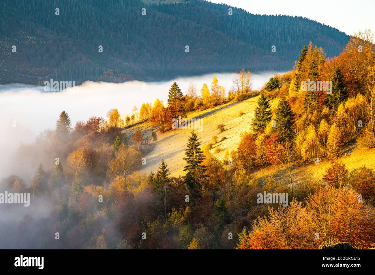 Grey mist covered with the colorful trees on mountain hils Stock Photo ...