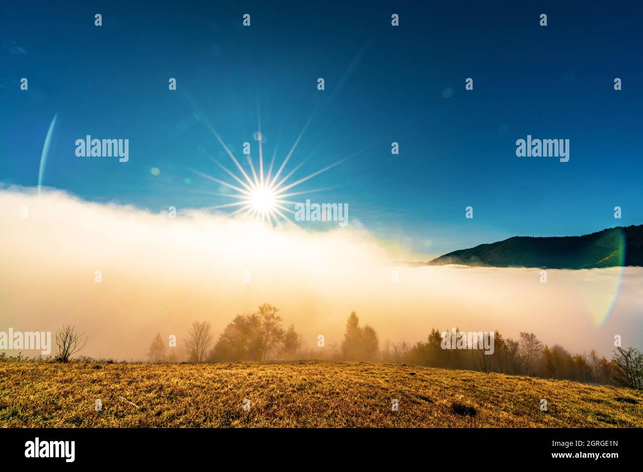 Autumn early morning and frozen dry grass covered with white fog under ...