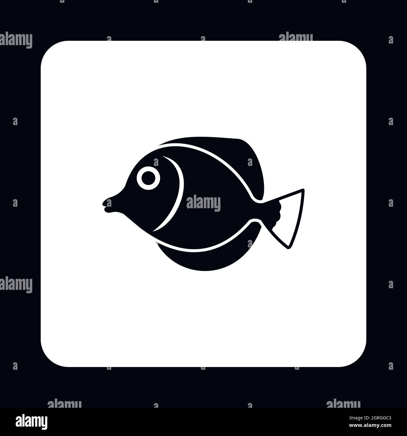 Butterfly tang hi-res stock photography and images - Alamy