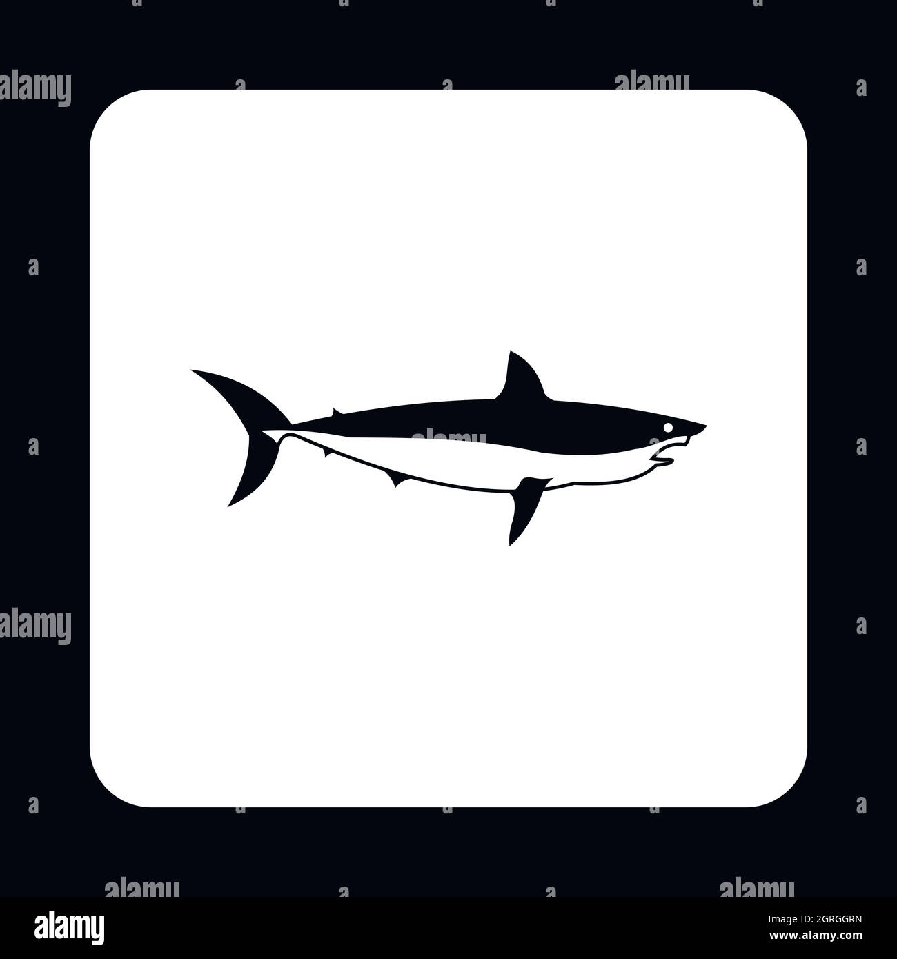 Shark species vector Stock Vector Images - Alamy