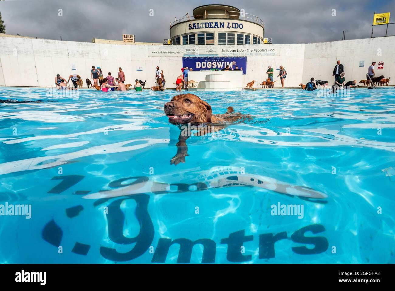 Saltdean, September 25th 2021: The annual end-of-season dog swim ...