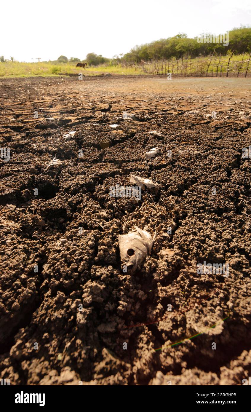 Dry and cracked ground caused by drought in Paraiba, Brazil. Climate ...