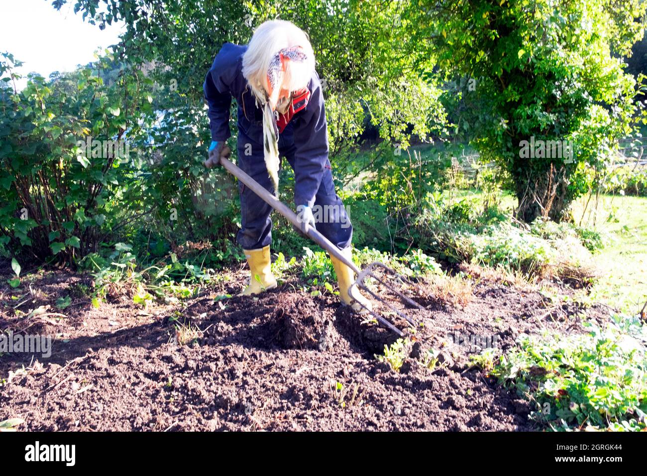 Digging in work hi-res stock photography and images - Alamy