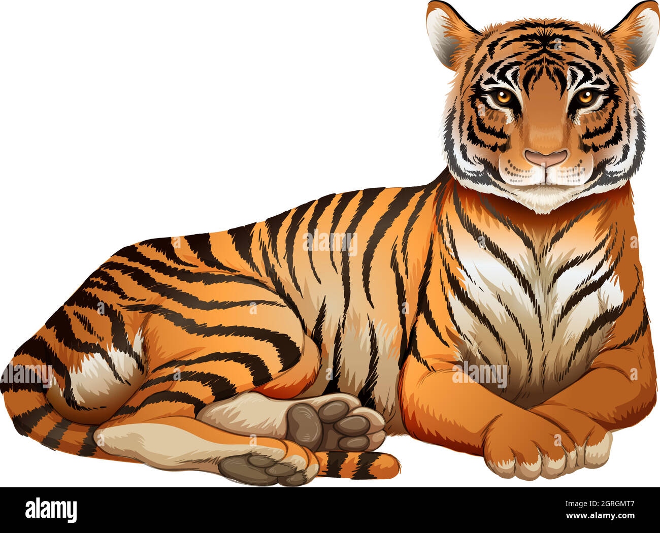 Tiger illustration Cut Out Stock Images & Pictures - Alamy