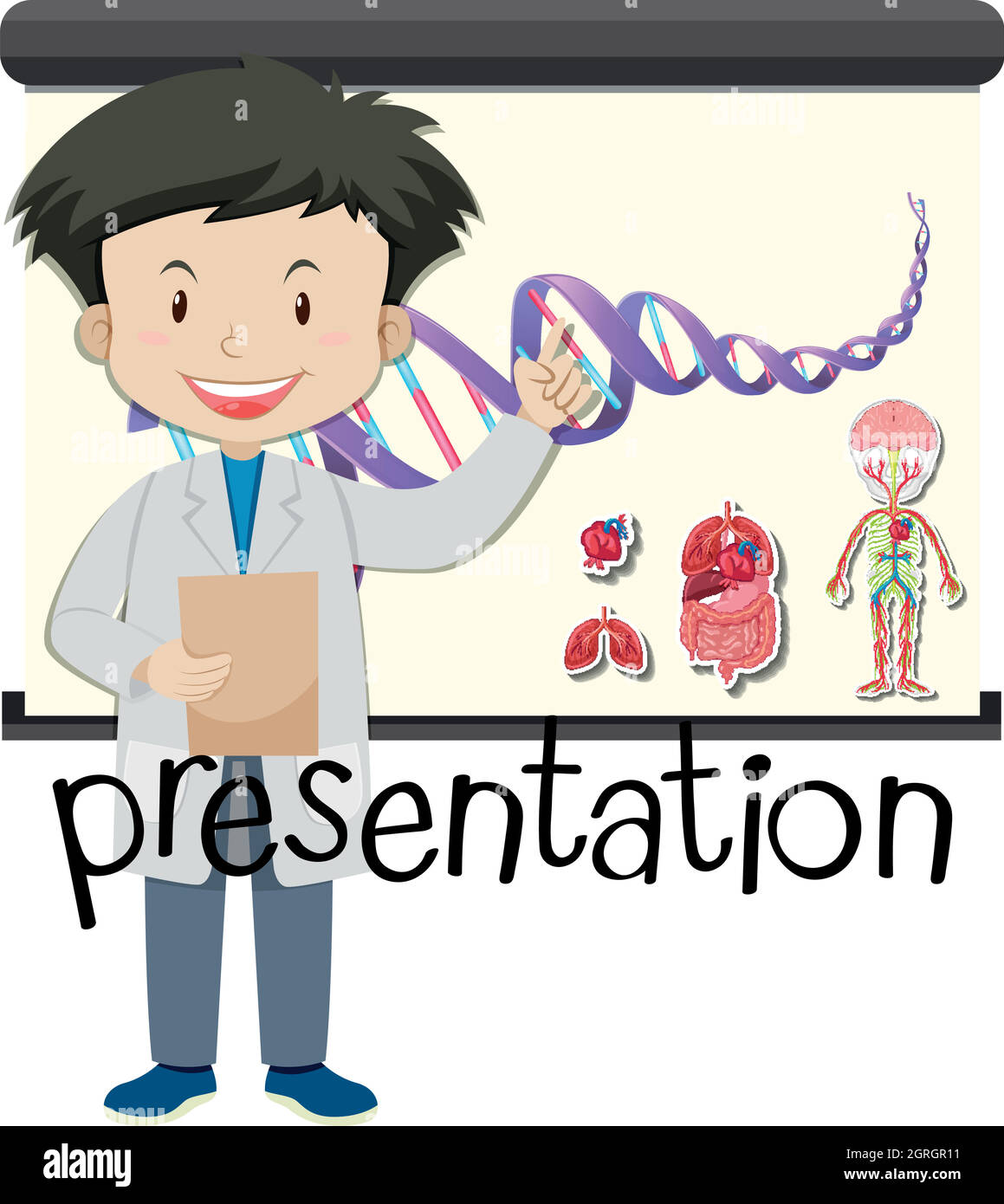 Boy presenting human anatomy on board Stock Vector Image & Art - Alamy