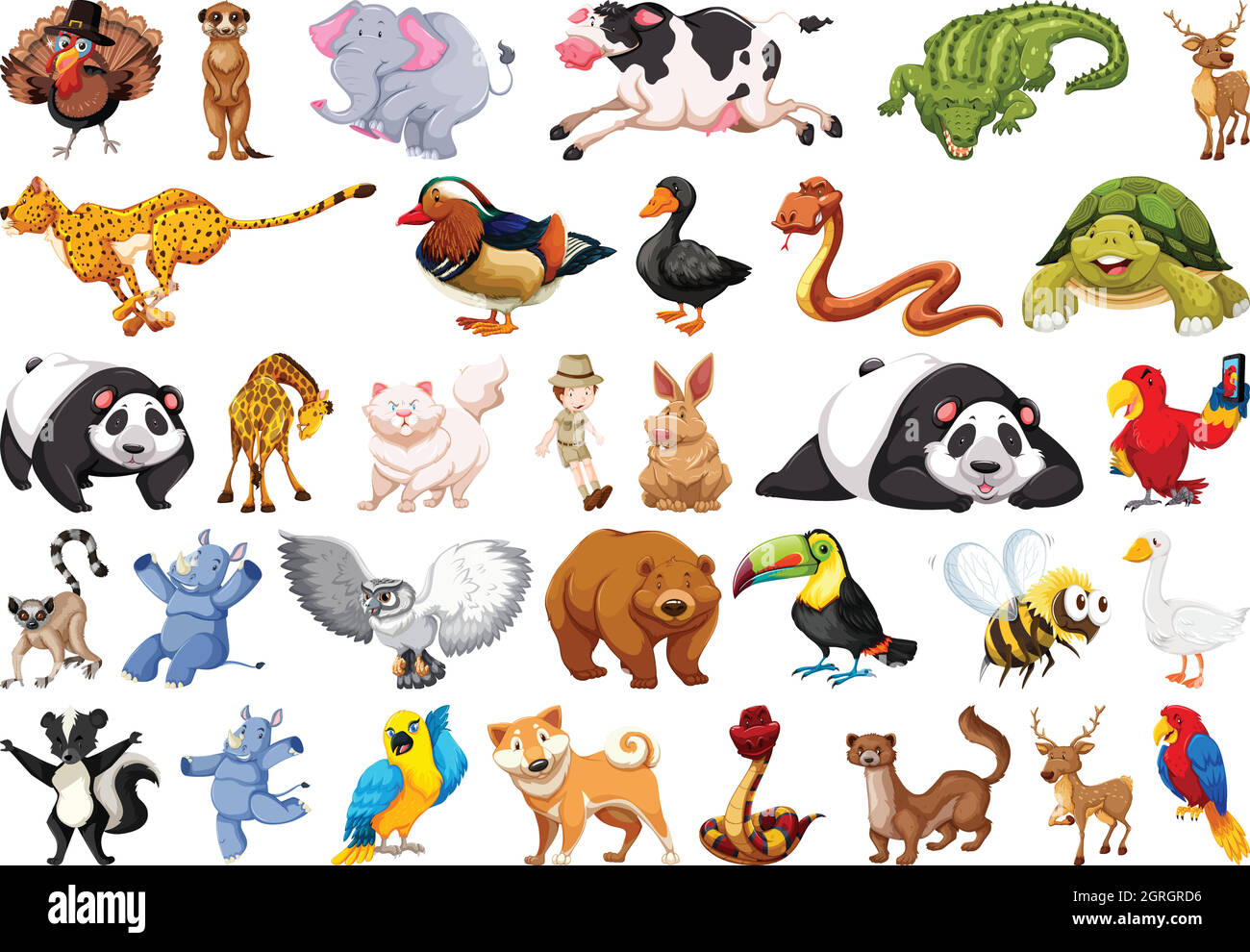 Set of wild animal Stock Vector Image & Art - Alamy